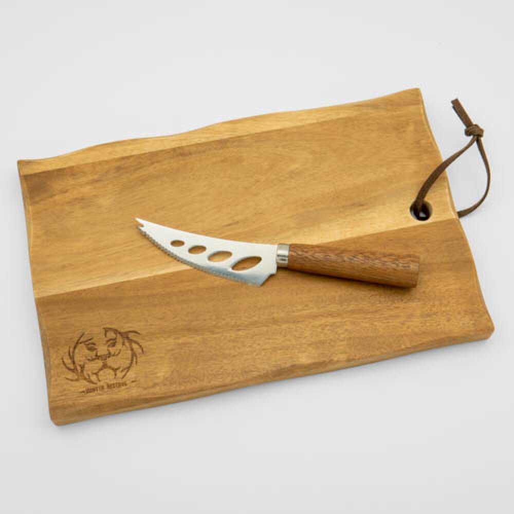 cutting board with knife insert